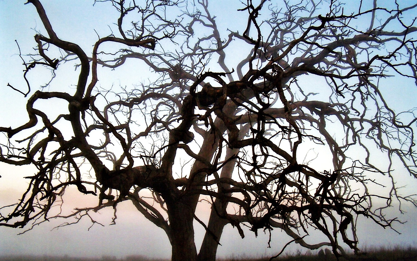 About Inspiring Views – Inspiring Views